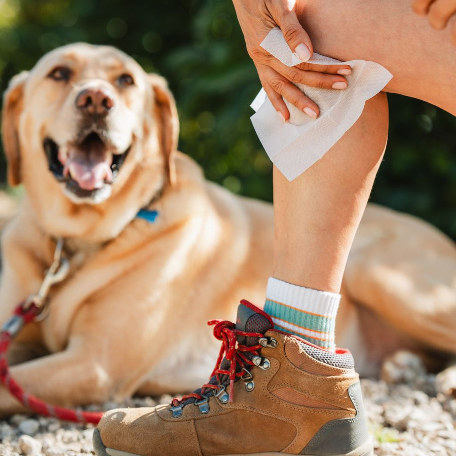 After Ivy Complete Wipe for Poison Ivy, Oak, and Sumac Itch Relief ...